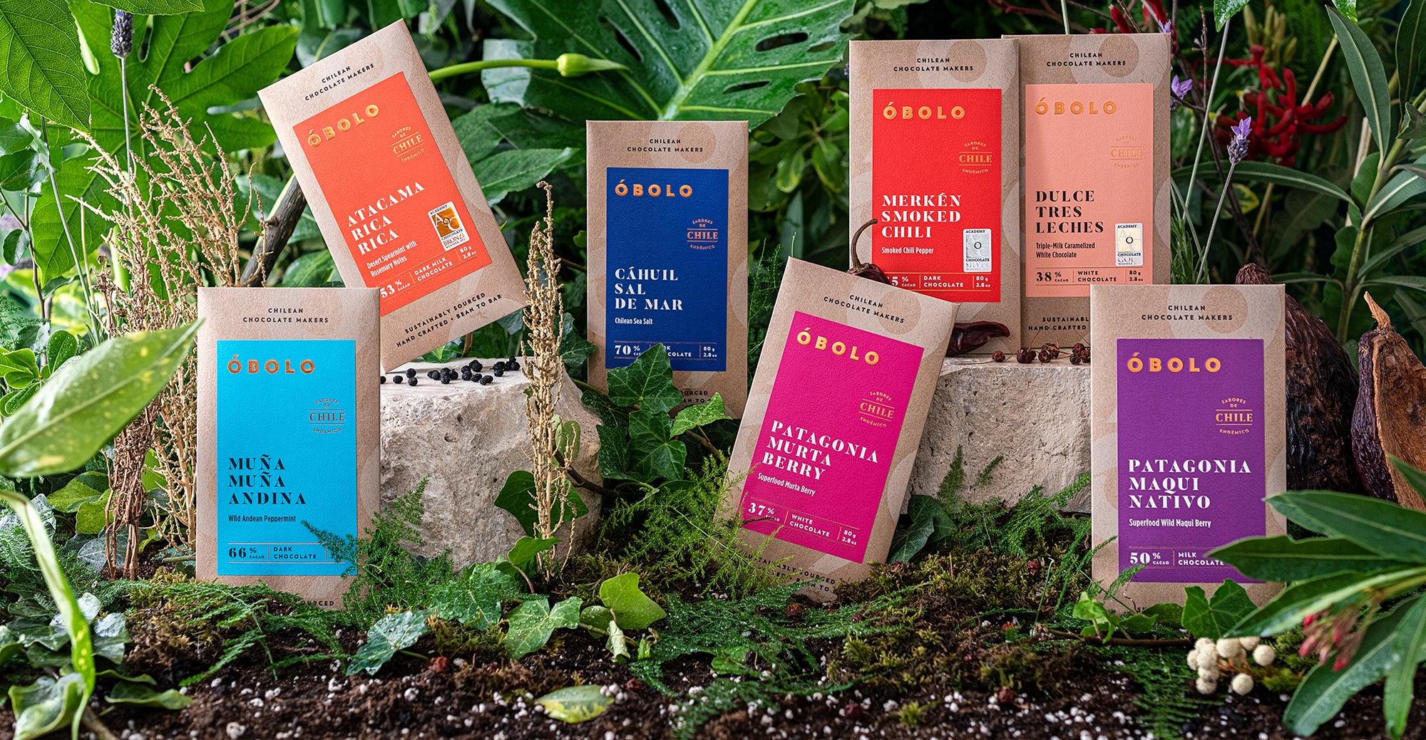 La Historia de ÓBOLO Chocolate