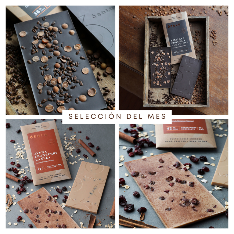 Cómo preparar un Chocolate Caliente delicioso y espeso – ÓBOLO Chocolate