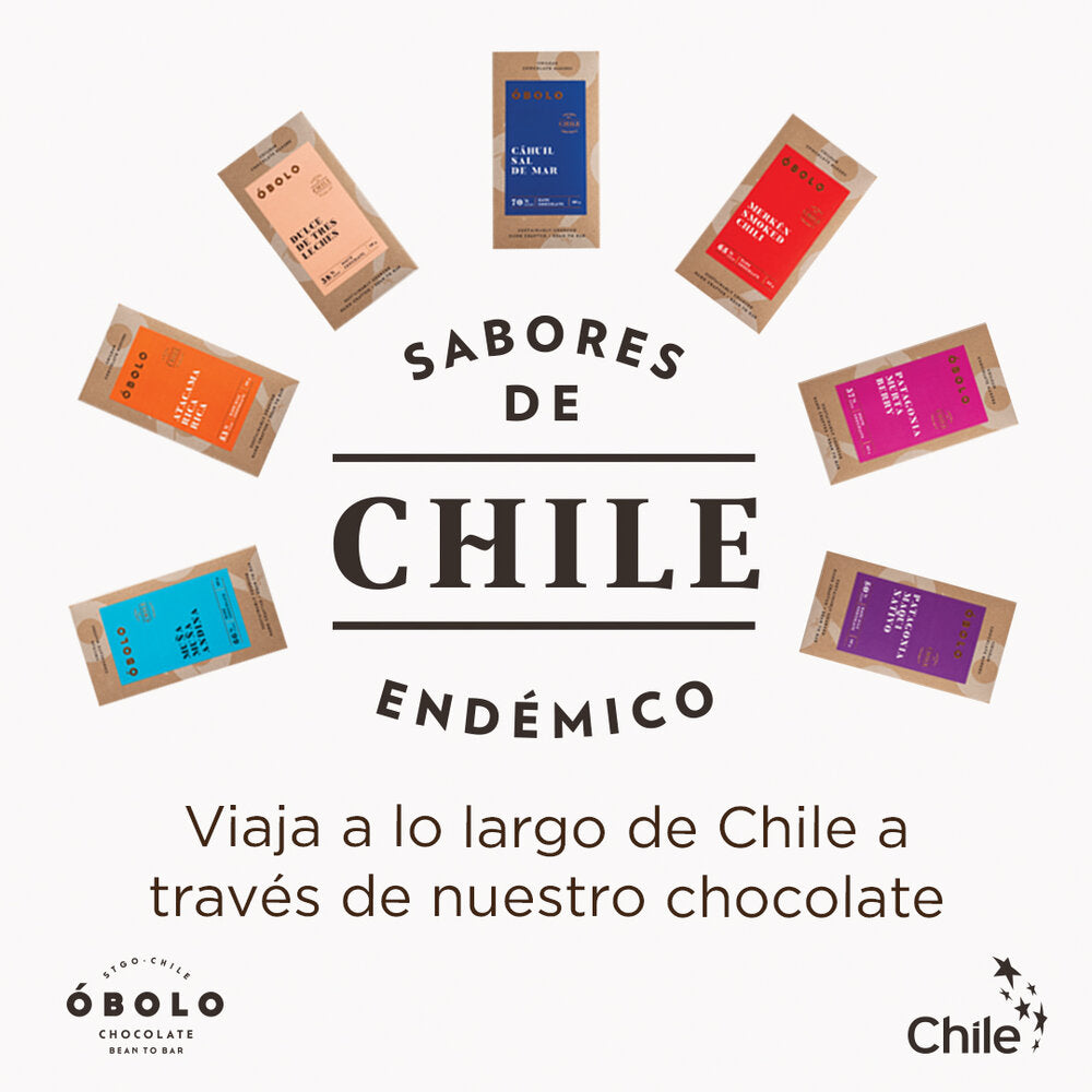 Pack 7 Barras de Chocolate Selección Sabores de Chile – ÓBOLO Chocolate